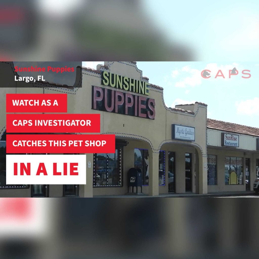 Find a USDA-licensed breeding or brokering facility | Companion Animal ...